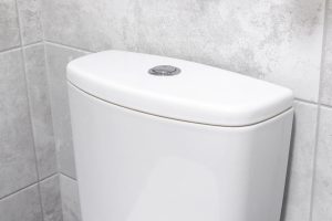 Six Effective Ways to Stop Your Toilet from Sweating - Putman & Son's ...